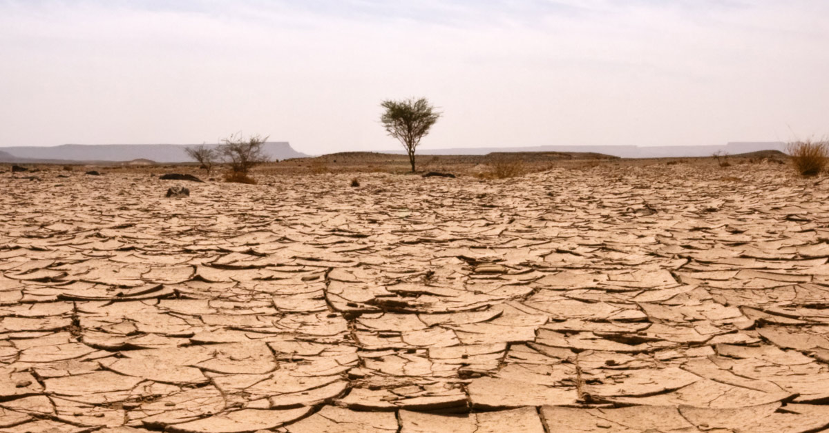 Addressing the needs of teacher education deserts